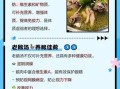 老鹅汤怎么炖才白_老鹅汤去腥增香的窍门