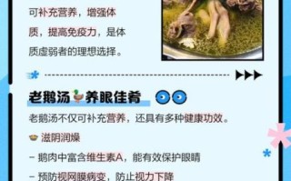 老鹅汤怎么炖才白_老鹅汤去腥增香的窍门
