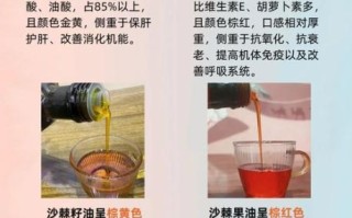 沙棘果油的功效与作用_沙棘果油怎么吃最好