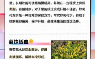野菊花泡水喝的功效与禁忌_什么人不能喝