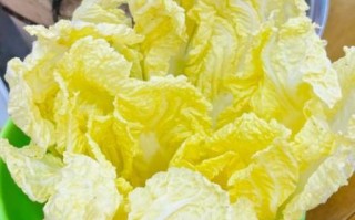 家庭羊肉火锅的做法_羊肉火锅底料怎么选