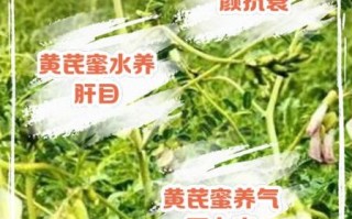 黄芪蜂蜜的功效与作用_适合哪些人吃