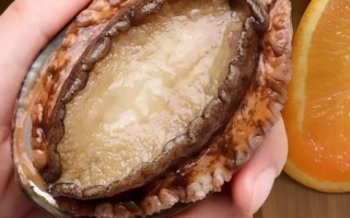 冷冻鲍鱼怎么做最简便_冷冻鲍鱼怎么做好吃