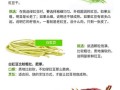 豇豆的功效与作用有哪些_豇豆的营养价值高吗