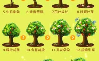 苹果树怎么种植_苹果树几年结果