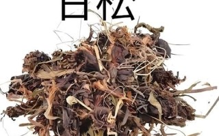 甘松的功效与作用_甘松可以长期泡水喝吗