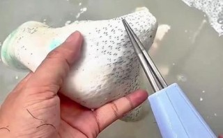 猪皮上的毛怎么去掉_家用去毛最快方法