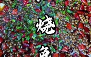 红烧兔肉怎么做好吃_红烧兔肉的家常做法