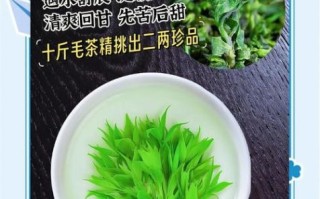 小叶苦丁茶能减肥吗_小叶苦丁茶的功效与作用