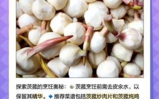 慈姑长什么样_慈姑和茨菰区别