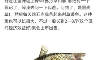 四大家鱼哪个最好吃_口感排名与选购技巧