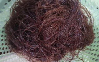 绿蚕蛹怎么做好吃_绿蚕蛹的做法大全