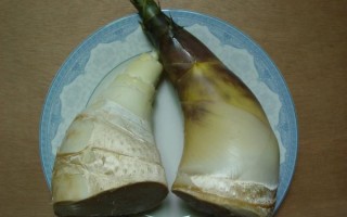 马蹄笋怎么保存_马蹄笋和竹笋区别