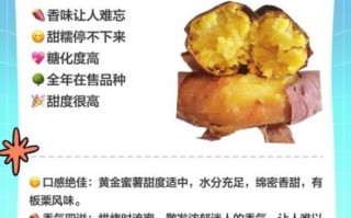 全国最好吃的红薯排名_哪里产的红薯最甜