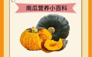 贝贝南瓜的营养价值_贝贝南瓜的功效与作用