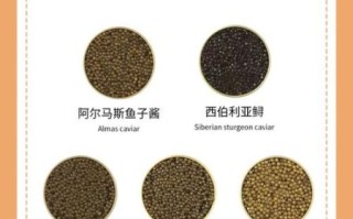 顶级鱼子酱多少钱一斤_正宗鲟鱼子酱价格