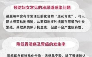 蔓越莓对女性的功效_蔓越莓能预防尿路感染吗