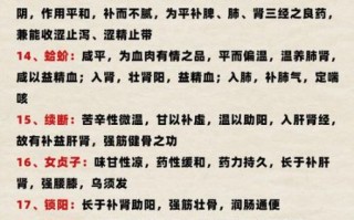 补肾壮阳中药秘方有哪些_肾虚怎么调理最快