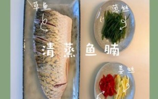 钓的小草鱼怎么做好吃_草鱼怎么煮才嫩