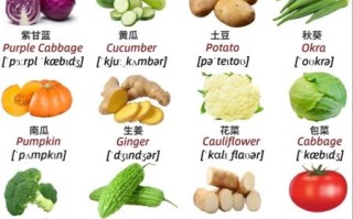 蔬菜英语单词怎么读_常见蔬菜英文发音全解析