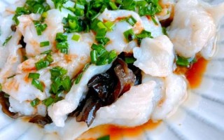 巴沙鱼片怎么做好吃_巴沙鱼片做法大全