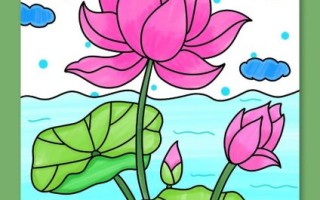 荷花图片大全绘画_怎么画荷花才好看