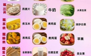 减肥营养餐怎么配_减肥期间三餐吃什么