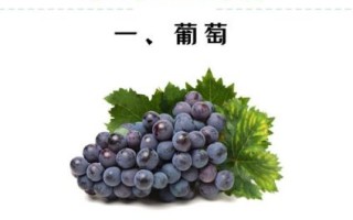 吃新鲜葡萄有什么好处_葡萄的功效与作用