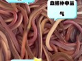 鳝鱼血的功效与作用_鳝鱼血的做法大全