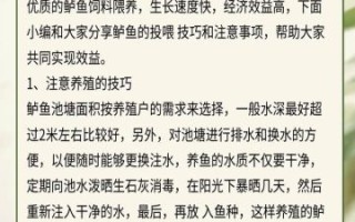 鲈鱼养殖技术_如何提高成活率