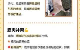 鹿肉小孩能吃吗_鹿肉适合几岁儿童吃