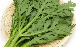 蓬蒿菜孕妇能吃吗_孕妇吃蓬蒿菜注意事项