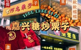 糖炒栗子加盟店有哪些品牌_哪个牌子值得投资