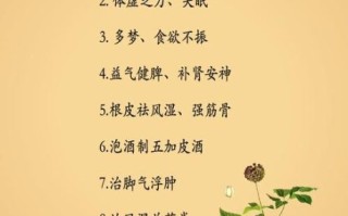 刺五加的功效与作用_刺五加适合什么人吃