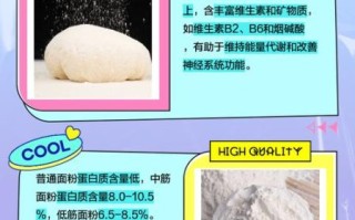 面包粉和普通面粉有什么区别_哪个更适合做面包