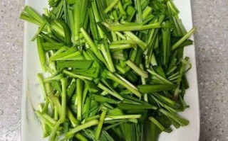 补肾菜有哪些菜_肾虚吃什么菜最好