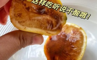 柠檬怎么吃_柠檬的吃法大全