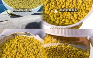 油菜花粉能提高性功能吗_油菜花粉对男性性功能作用