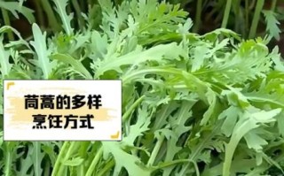 茼蒿菜怎么做好吃_茼蒿菜的功效与作用