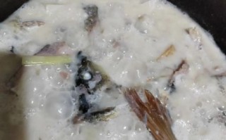 鲤鱼怎么炖不腥_家常炖鱼做法