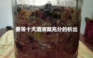 葡萄酒怎么在家酿_葡萄酒做法视频详细步骤