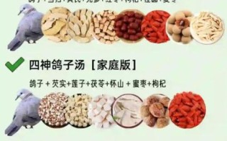 鸽子汤的营养价值及功效_鸽子汤怎么炖最营养