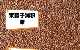 莱菔子什么人不能吃_莱菔子与哪些药相克