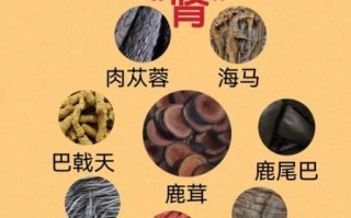 男人补肾喝什么酒最好_十大强肾药酒配方