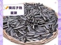 葵瓜子热量高吗_减肥能吃吗