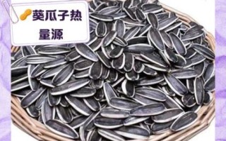 葵瓜子热量高吗_减肥能吃吗