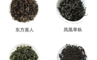 乌龙茶有哪些种类_乌龙茶种类及区别