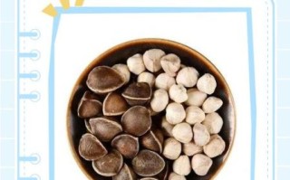 辣木籽一天吃几粒最好_辣木籽正确吃法