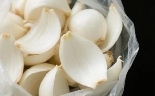 新鲜百合怎么吃才好_百合家常做法大全