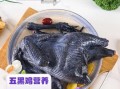 五黑鸡和乌鸡哪个更好_五黑鸡与乌鸡营养功效对比